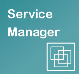INFORMATICA INTEGRADA INTERNETWORKING: Curso Service Manager